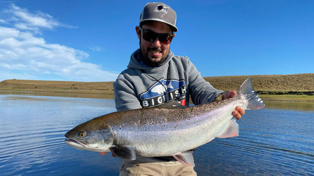 Sea-Run Brown Trout: Understanding Patagonia’s Most Iconic Fish | Karku ...